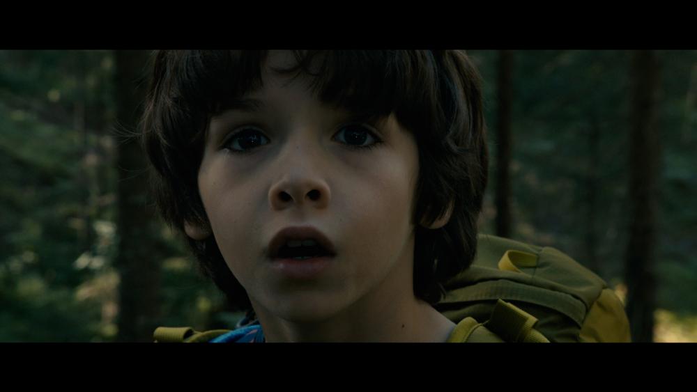 Dans la forêt | Cine Region